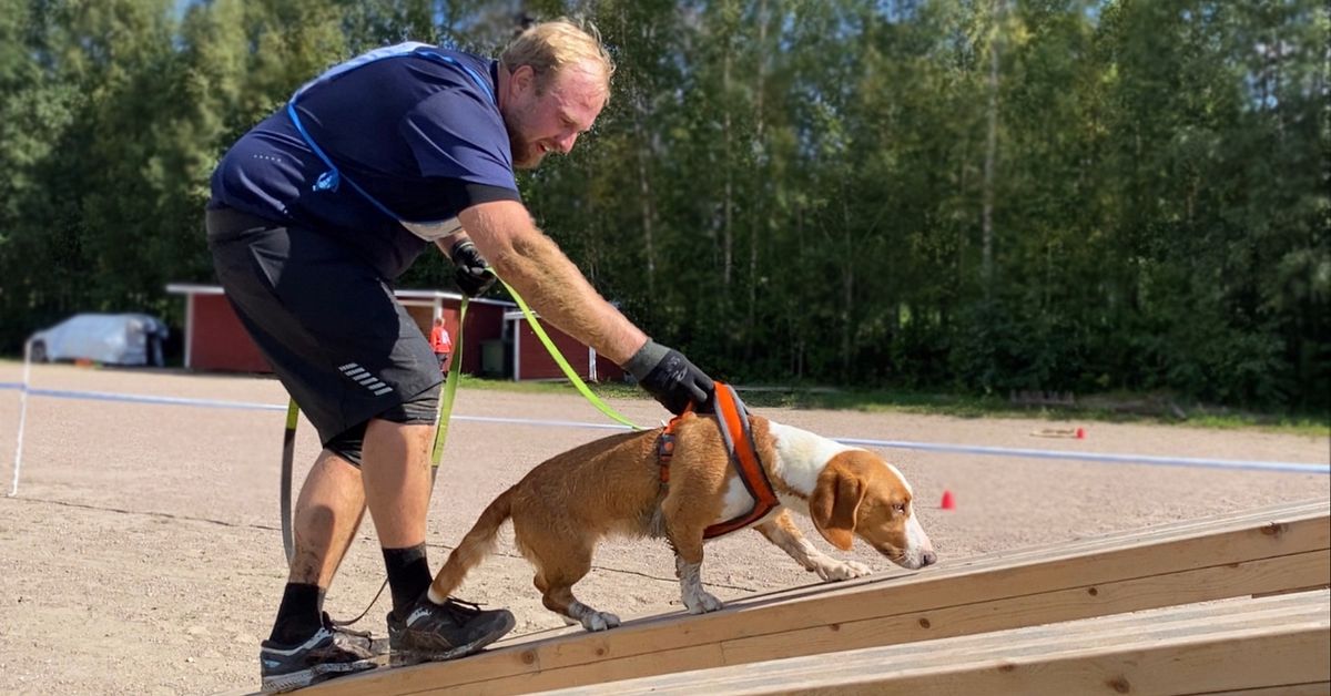 Dogathlon körs i Matfors för femte året i rad: ”Kul, svårt och lerigt ...