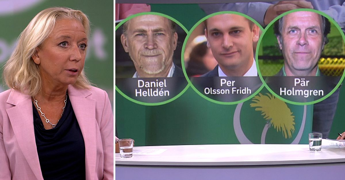 Marmorstein: Här är favoriterna att ta över efter Bolund (MP) | SVT Nyheter
