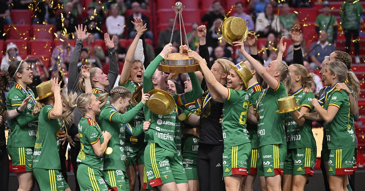 Innebandy: Klart: SM-finalerna i innebandy 2024 spelas på Friends Arena ...