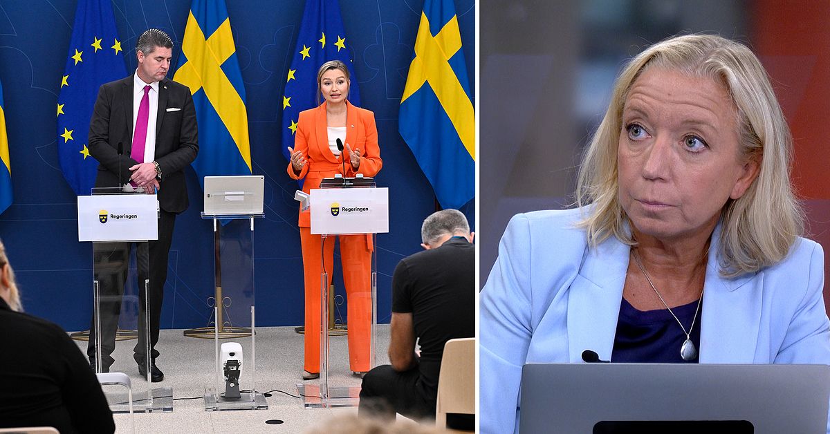Elisabeth Marmorstein: Långt ifrån vad de gick till val på | SVT Nyheter