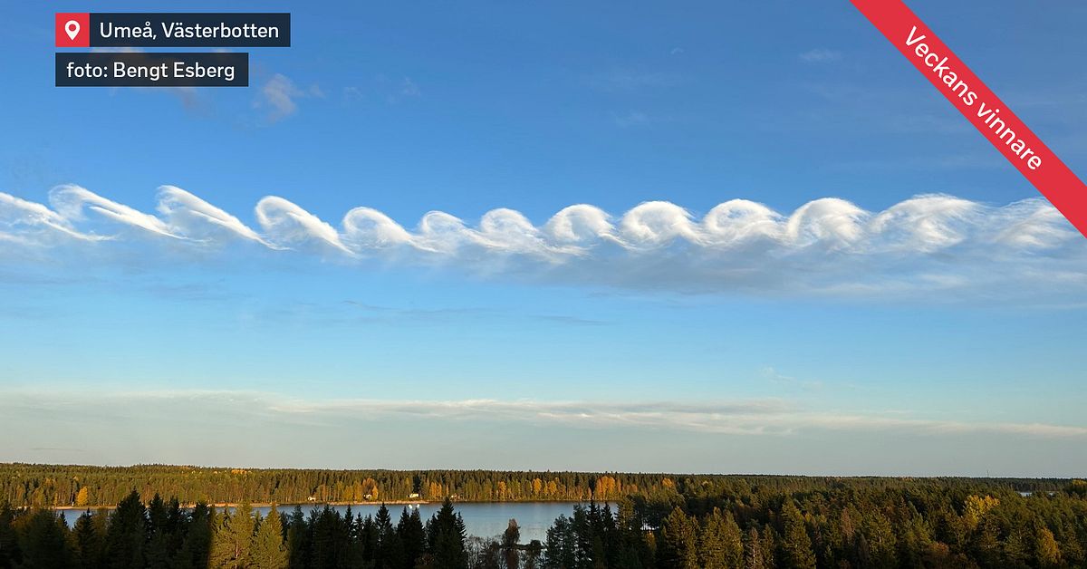 Väderbildstävling 2023 vecka 39 | SVT Nyheter