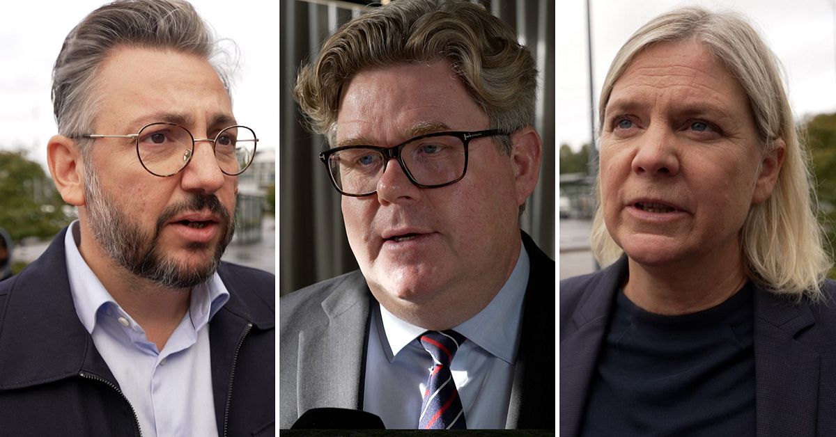 Guide: Det vill partierna göra här och nu – för att stoppa gängvåldet ...