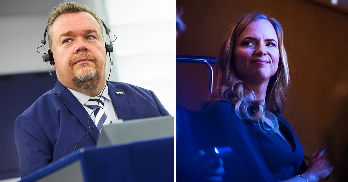 Sara Skyttedal tar strid om EU-post | SVT Nyheter