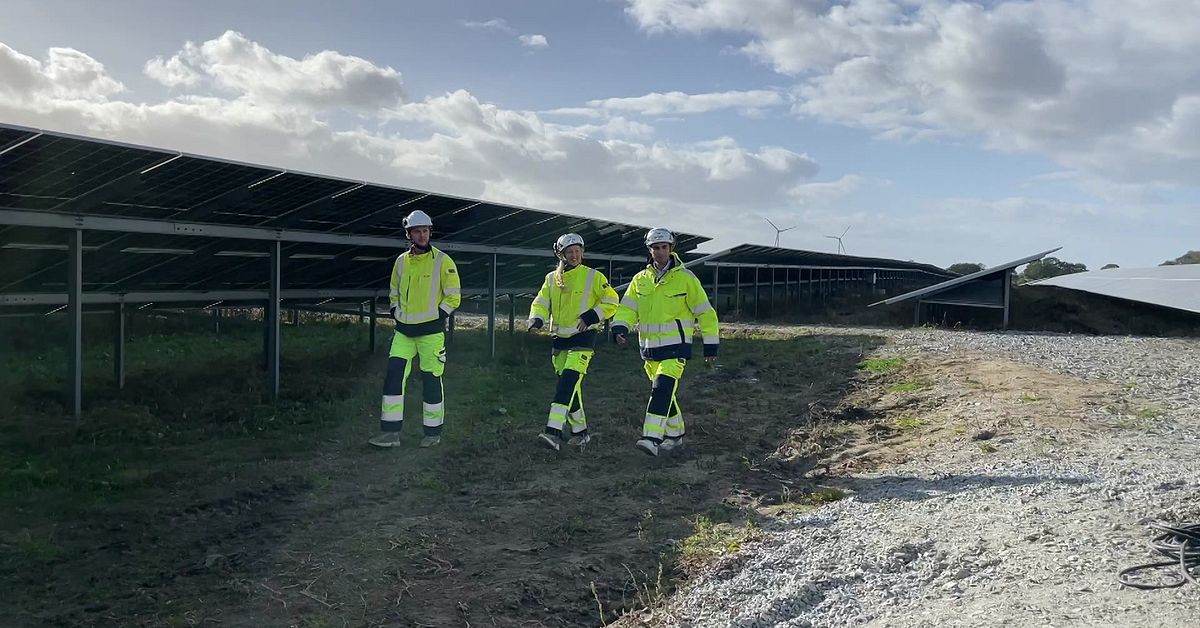 Här invigs en av landets största solcellsparker – i Mjällby | SVT Nyheter
