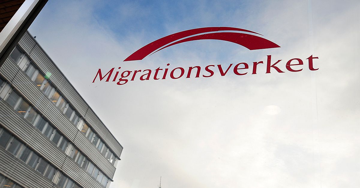 Migrationsverket: ”Alla kan inte beviljas skydd i Sverige” | SVT Nyheter