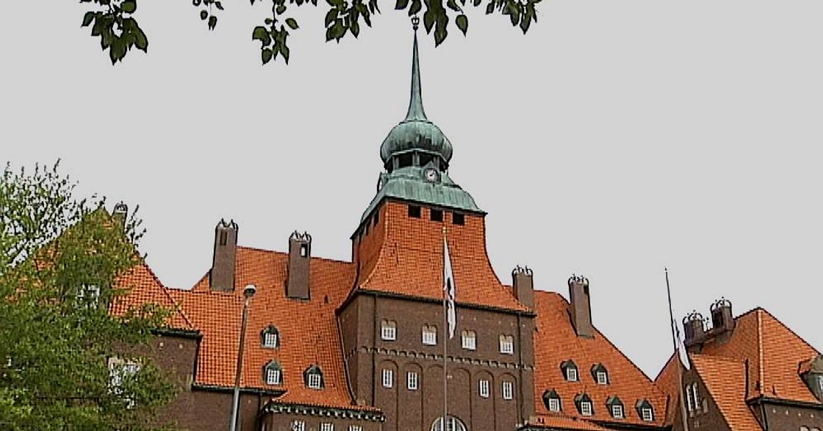 Över 200 nya svenska medborgare i Östersund | SVT Nyheter