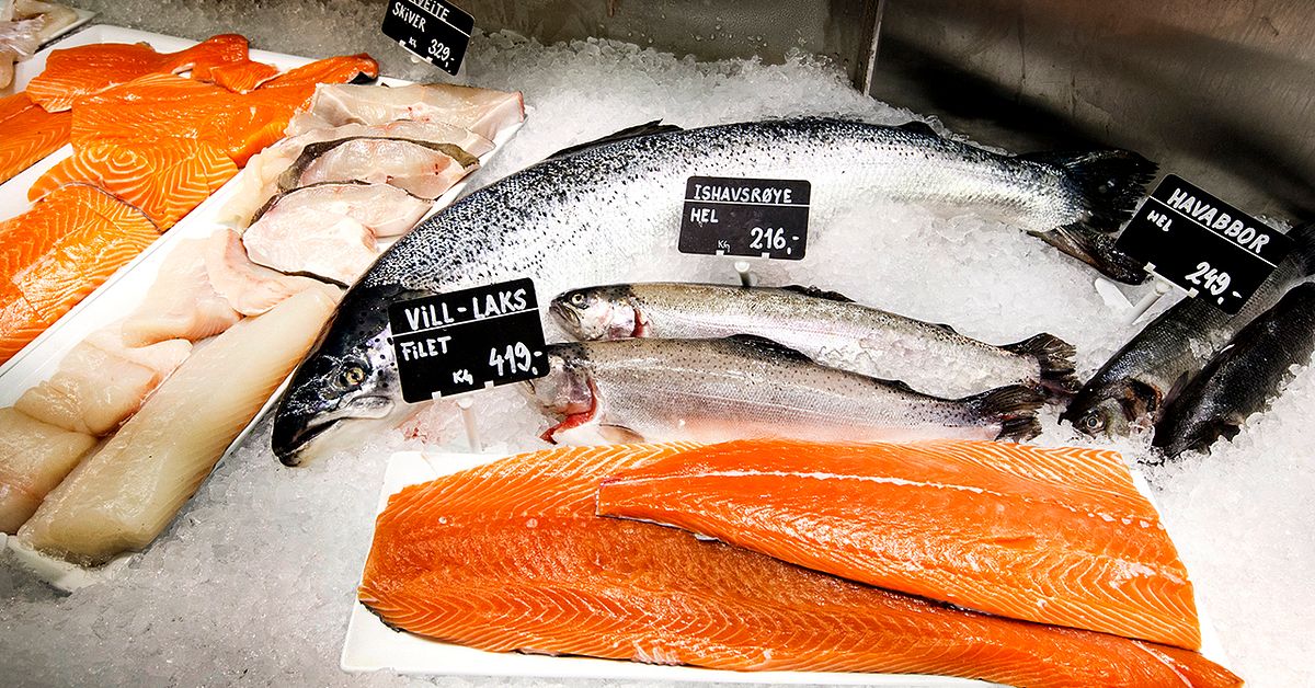 USA godkänner kontroversiell superlax | SVT Nyheter