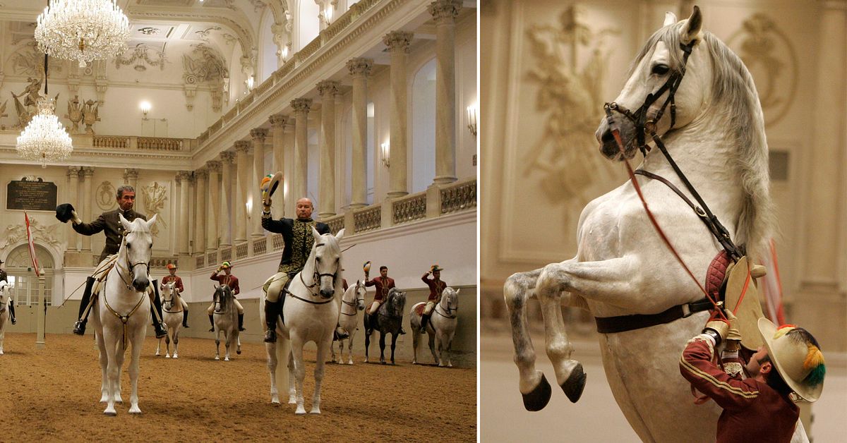 Spanska ridskolan blir världskulturarv | SVT Nyheter