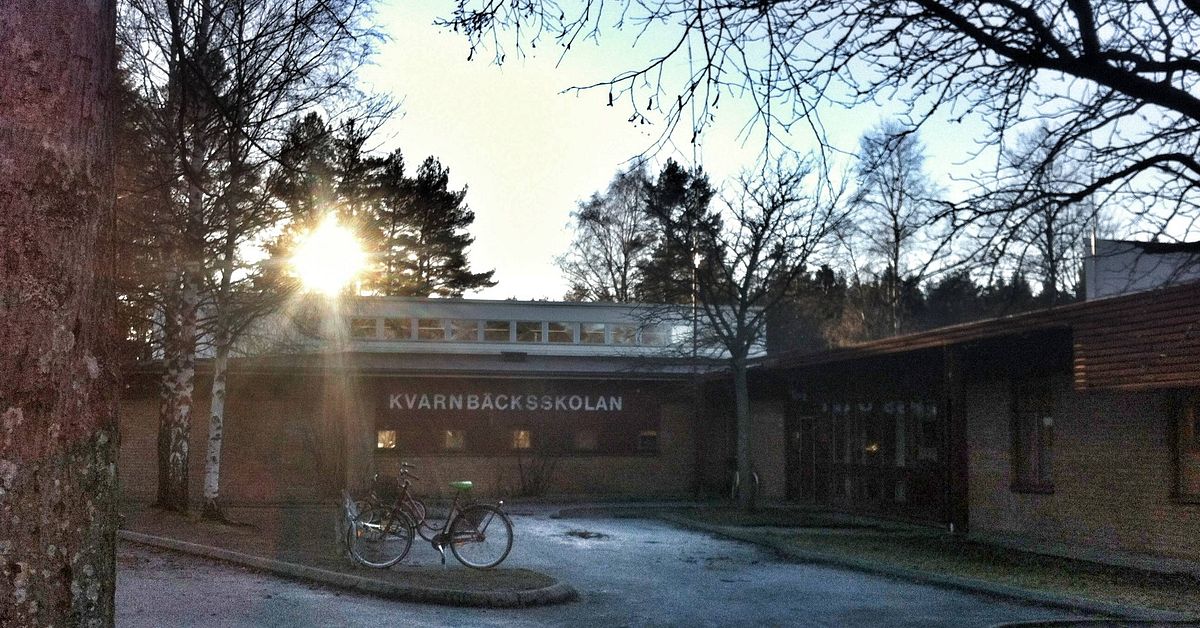 Utredning blev liggande ett år | SVT Nyheter