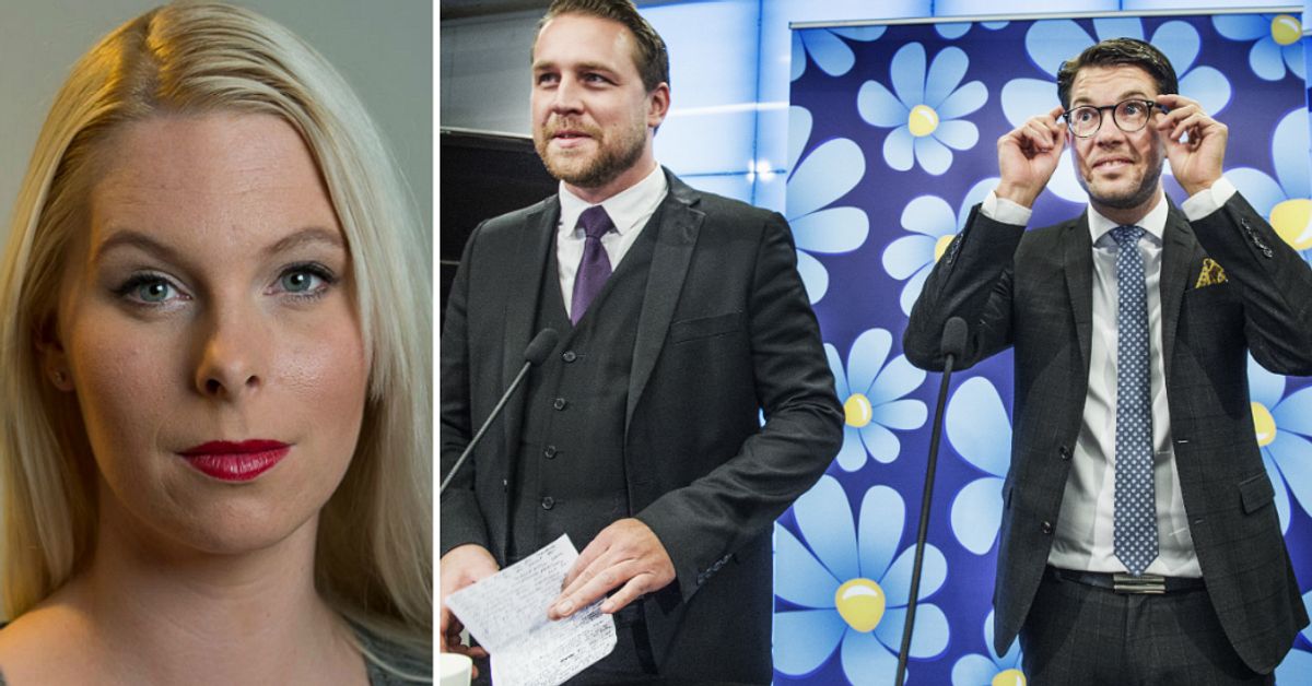 Hanna Wigh Till Attack Mot Sd S Attityd Mot Kvinnor Svt Nyheter