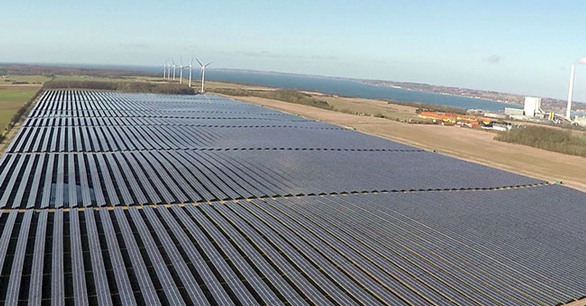 Nordens största solcellspark i drift | SVT Nyheter