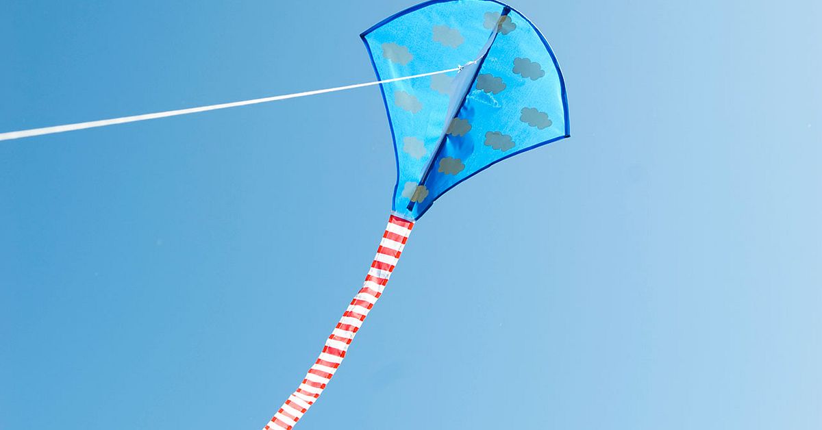 Drake stoppade tåg mellan Malmö-Lund | SVT Nyheter