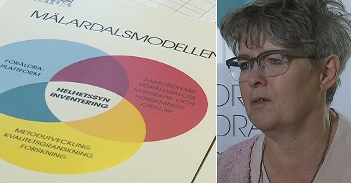 Vardagshjälp för föräldrar till funktionsnedsatta | SVT Nyheter