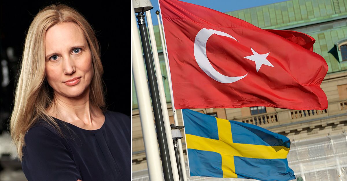 Turkiets ambassad försökte stoppa dokumentär om folkmord | SVT Nyheter