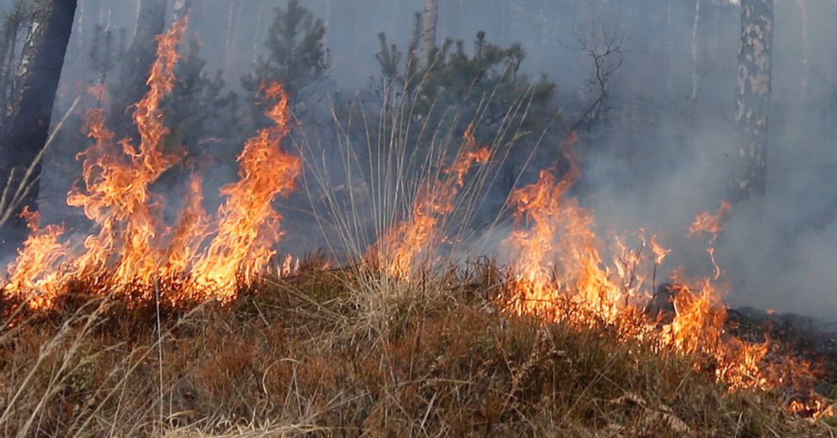 Räddningstjänsten: ”Undvik att elda ute” | SVT Nyheter