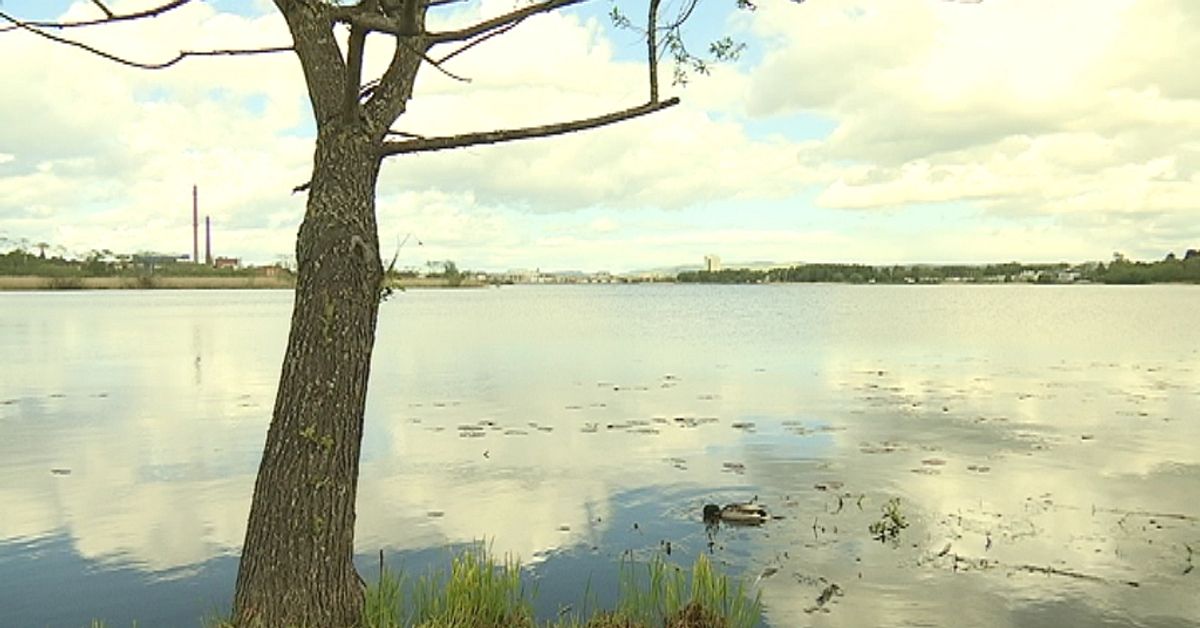 Nytt steg mot ö i Munksjön | SVT Nyheter