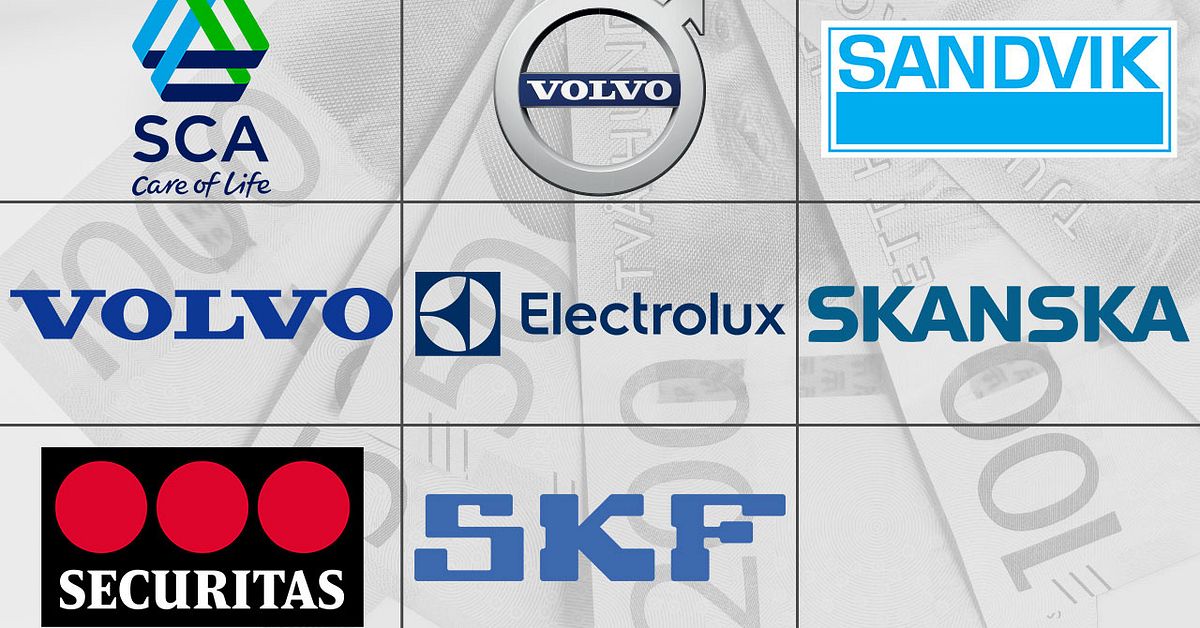 Sveriges största bolag nolltaxerar | SVT Nyheter