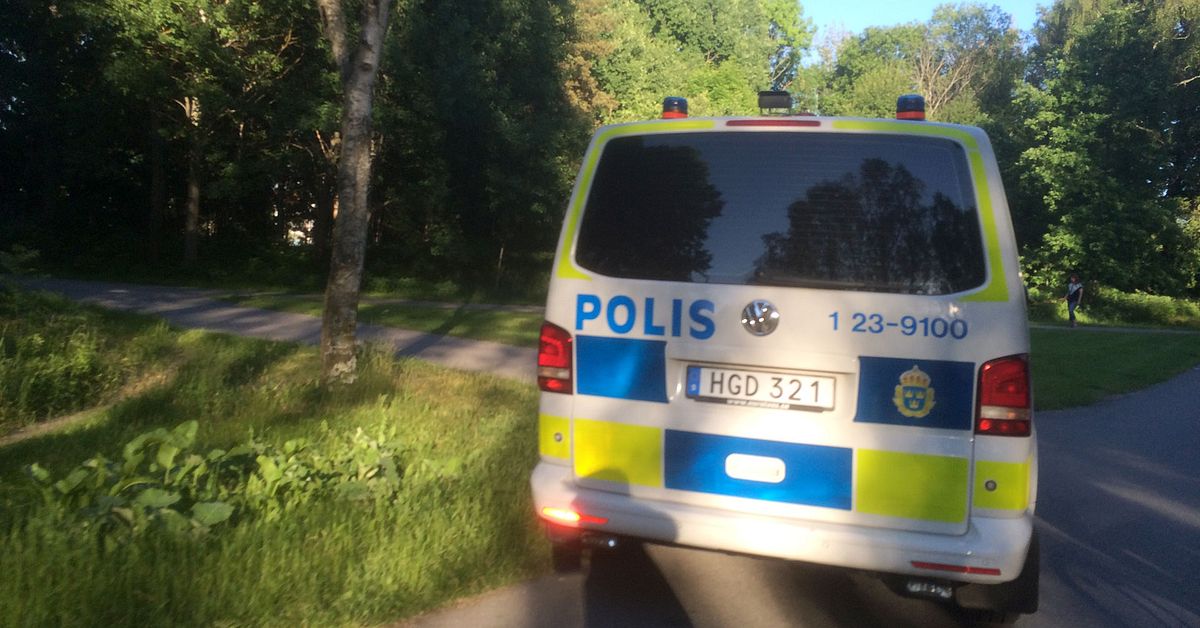 Polisbil förstörd efter biljakt | SVT Nyheter