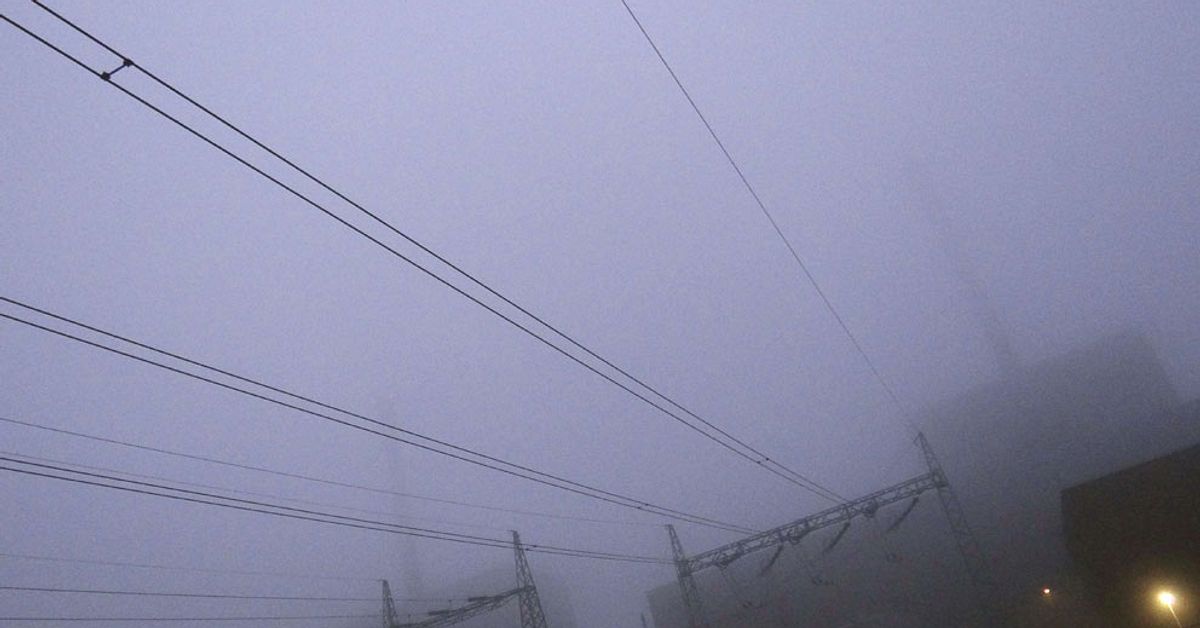 Varing för lösspringande ko | SVT Nyheter