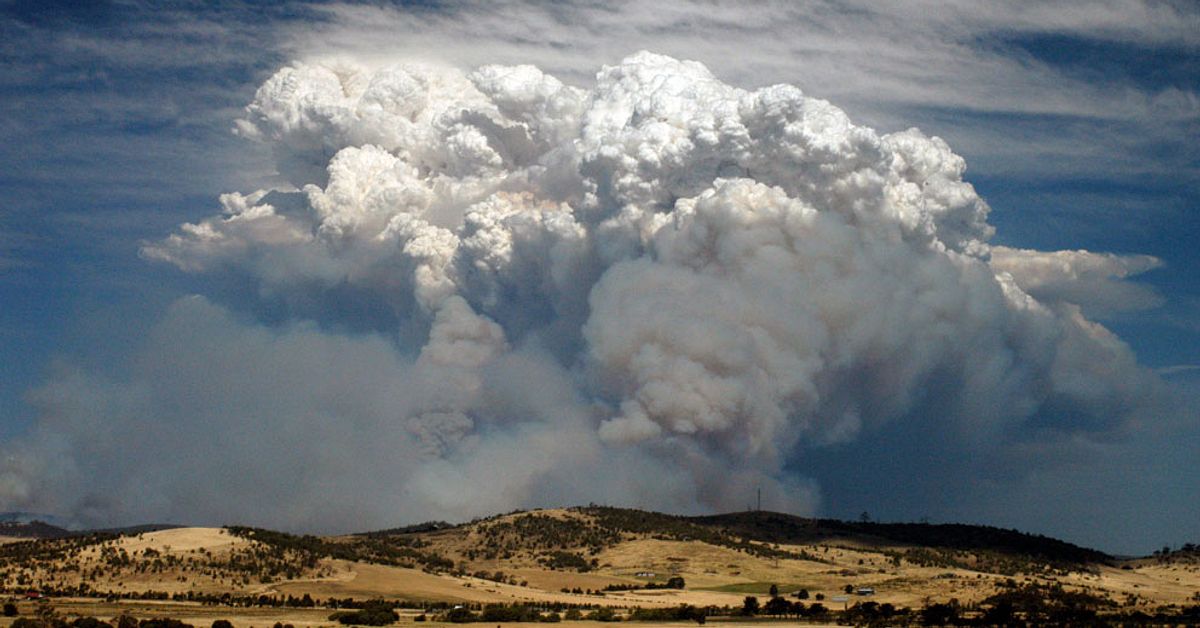 Tusentals australier flyr våldsamma bränder | SVT Nyheter