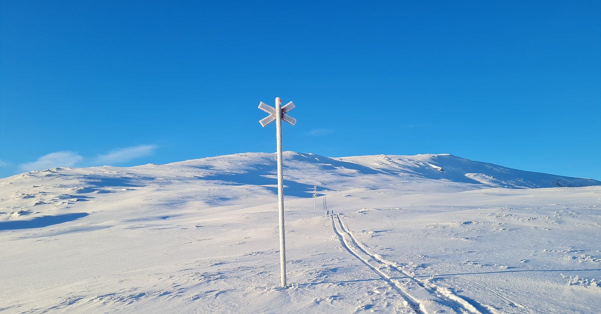Tittarbilder januari 2025 – skicka din bild till SVT Väder | SVT Nyheter