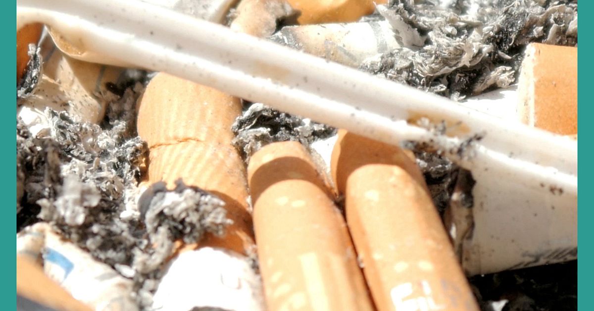 Fimpar blir isolering i kläder och hus | SVT Nyheter