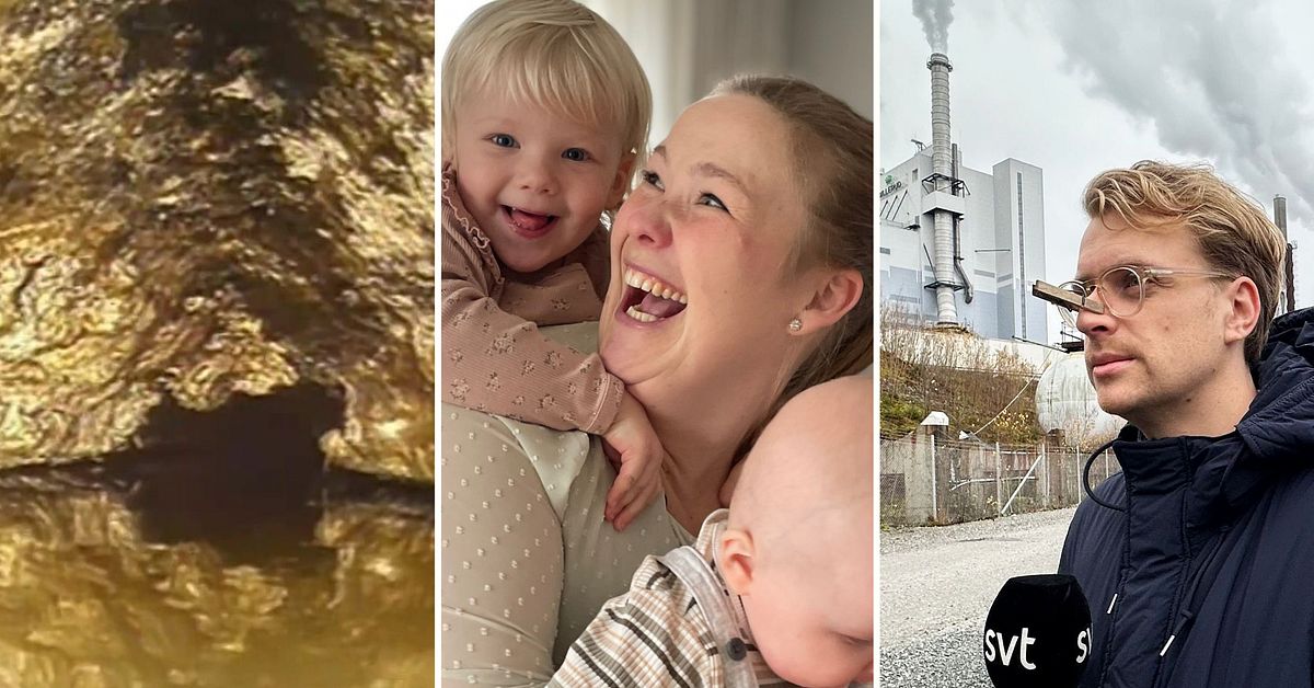 2023 mest sedda videoklipp på SVT Nyheter Örebro | SVT Nyheter