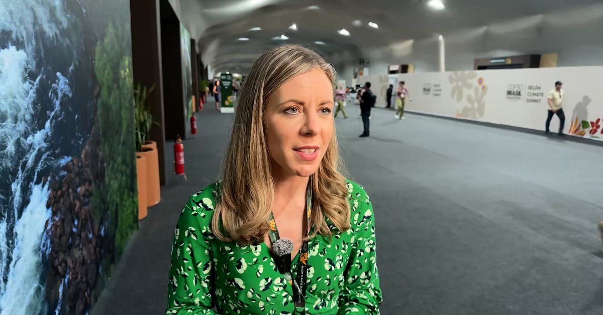 Inga besked från Sverige om pengar till avskogningsfond – Senaste nytt ...