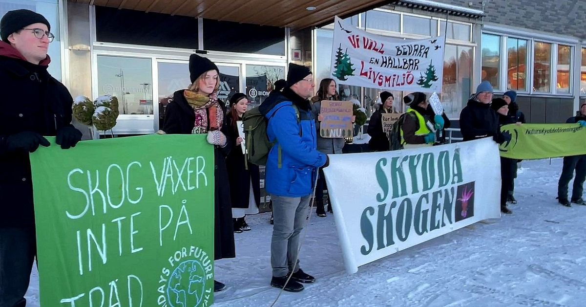 Protest mot SCA:s skogsavverkningar: ”Hotar naturvärden och viktiga ...