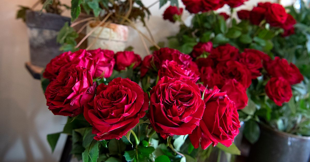 Alla hjärtans dag | SVT Nyheter