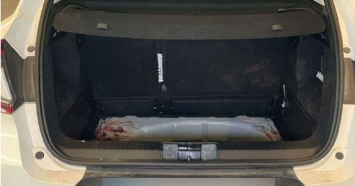 Blodig hyrbil hittades efter att död man dumpats vid E4 utanför ...