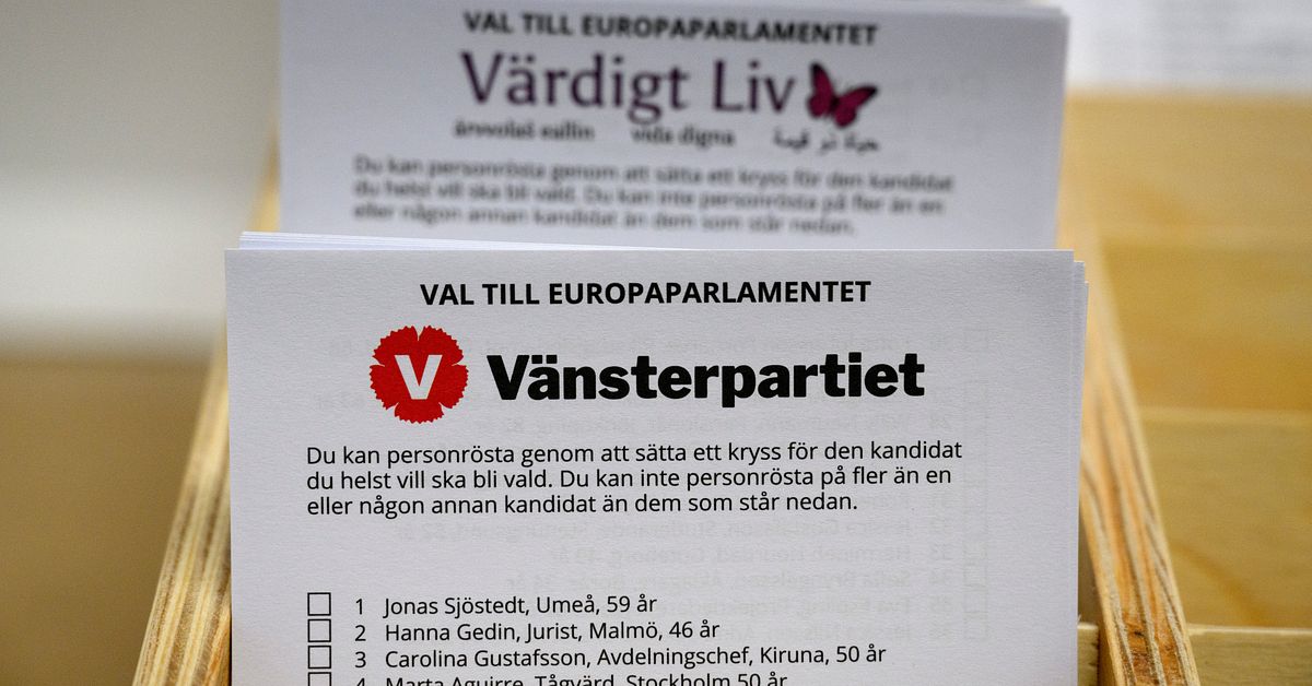 Hadrous lämnar V efter antisemitiska inlägg | SVT Nyheter