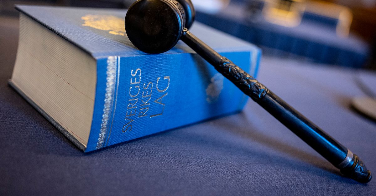 Barn attackerat av hund i Norrköping– kvinna döms | SVT Nyheter