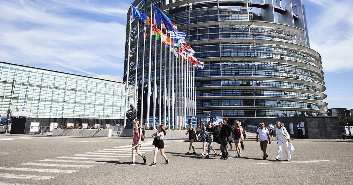 Så många samer brukar rösta i EU-valet | SVT Nyheter