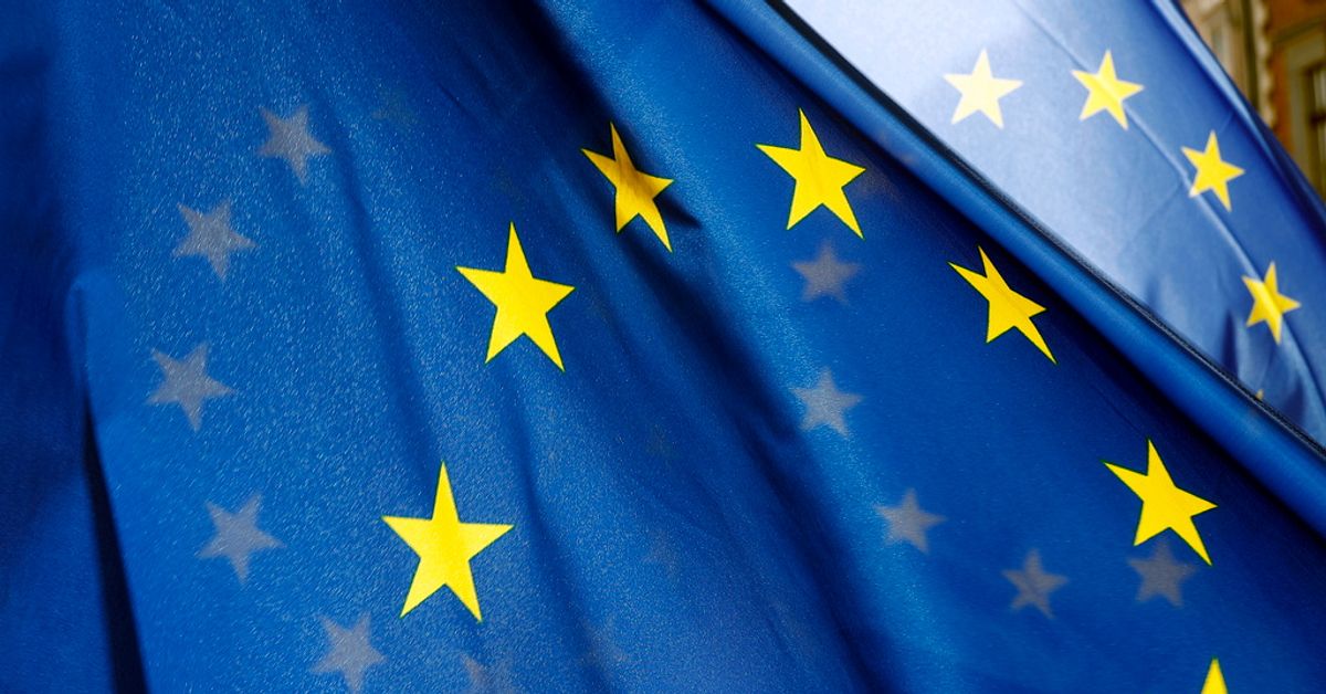 Guide till EU-valet 2024 – allt du behöver veta inför valdagen | SVT Nyheter