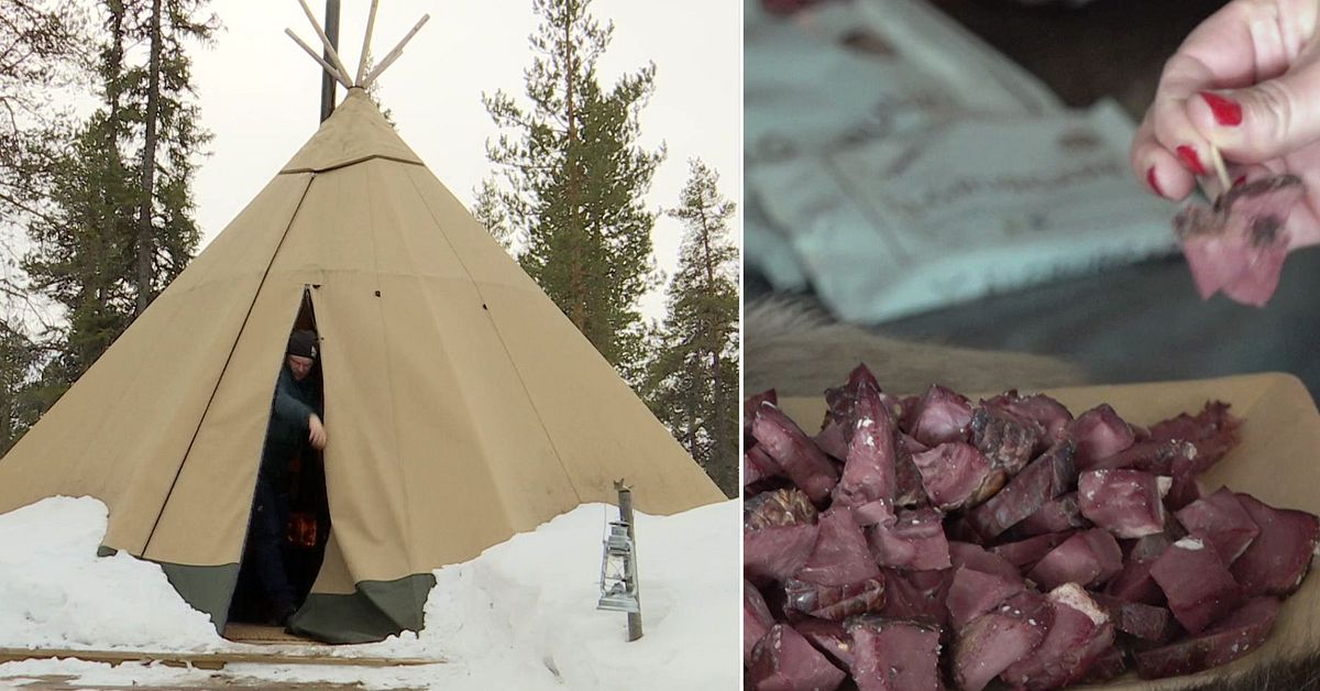 Tradition möter framtid – tre miljoner till samisk mat och turism | SVT ...