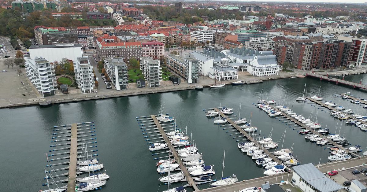 Helsingborgs nya klimatneutralitetsfond ska få fler att engagera sig ...