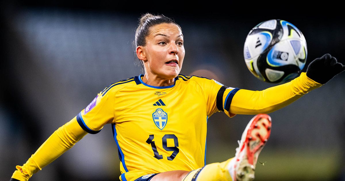 Johanna Rytting Kaneryd om stödet från AIK-stjärnan Anton Salétros ...