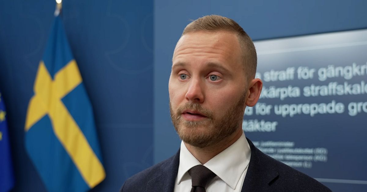 SD begär att Katja Nyberg (SD) entledigas | SVT Nyheter