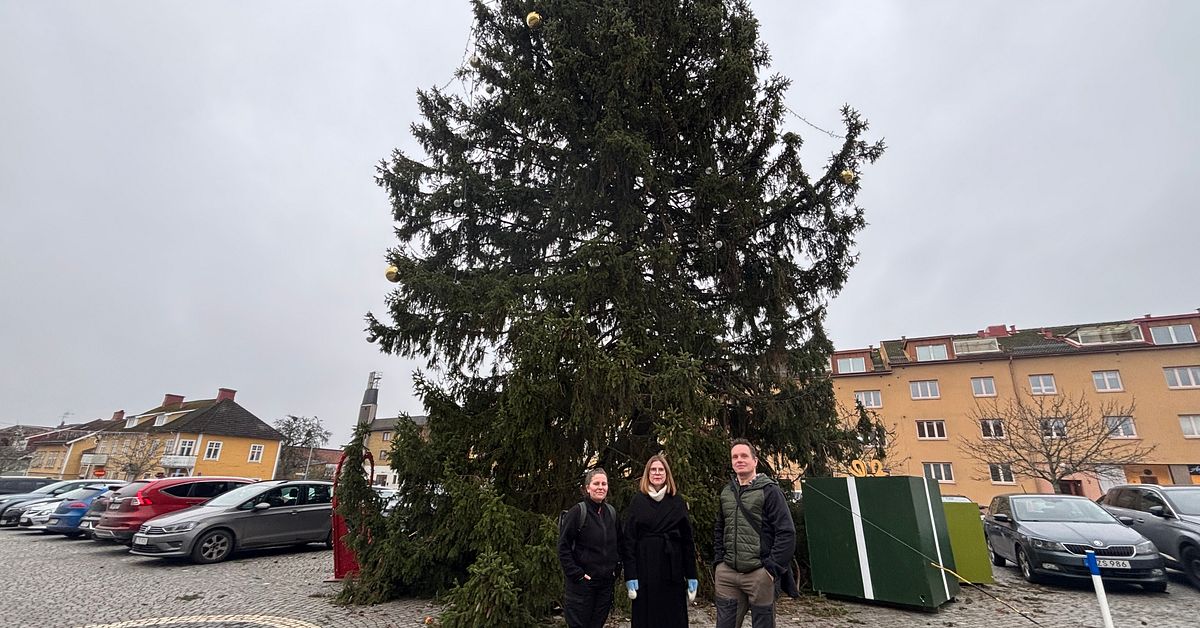 Känslofyllda försvarstalet för ”årets fulaste julgran” | SVT Nyheter