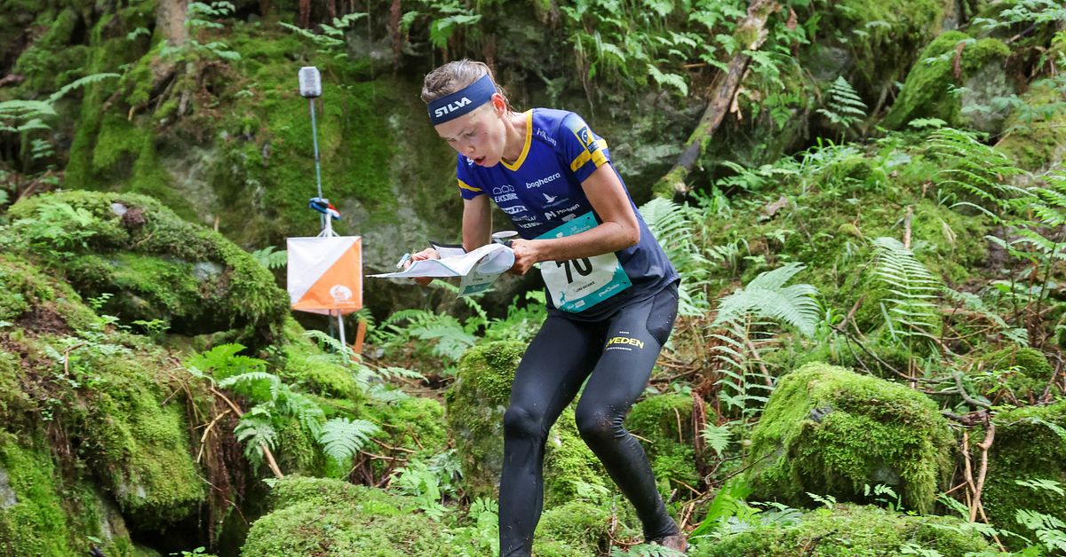 Orientering: Orientering i SVT 2025: Tävlingar och TV-tider | SVT Sport