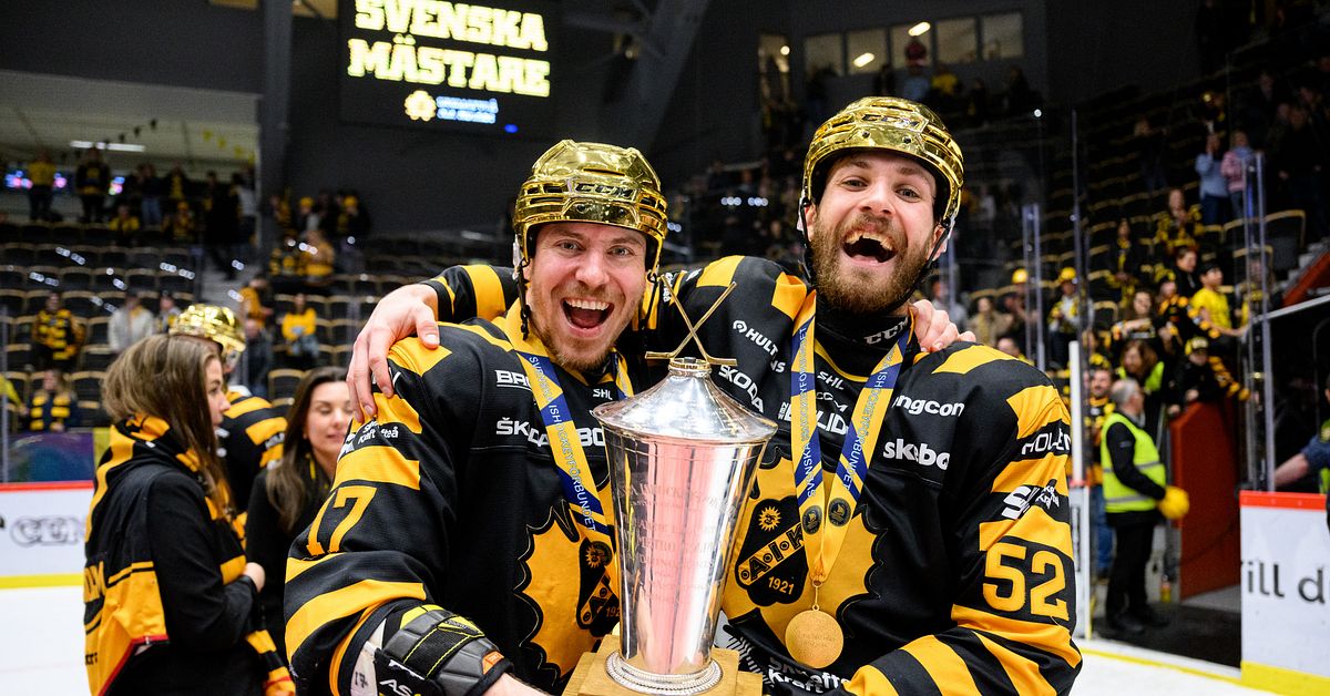 Ishockey: SHL 2024/25: Så spelas SHL | SVT Sport