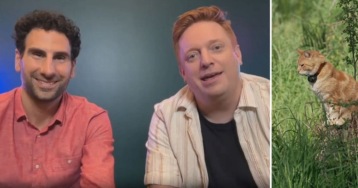 Stort intresse för slow-tv-satsningen om Luffar-Lasse: 14 timmar katt ...