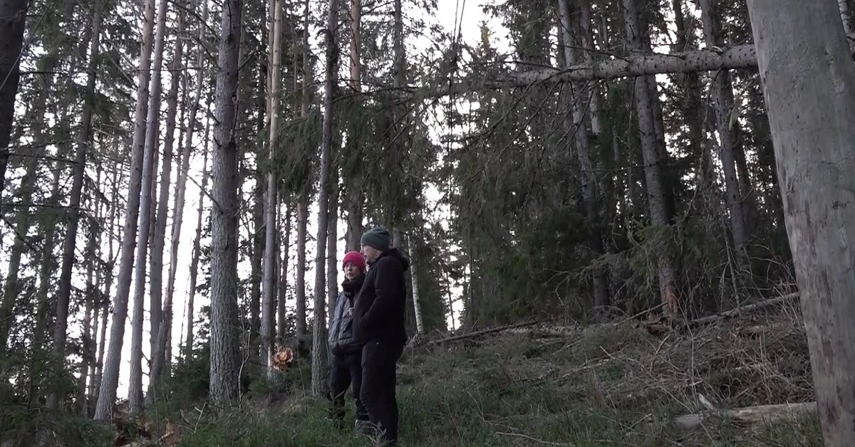Christer i Böle strömlös i nära två dygn efter stormen | SVT Nyheter