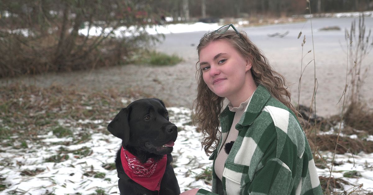 Nu har hunden Azlan tagit examen – han varnar Ally innan hon svimmar ...