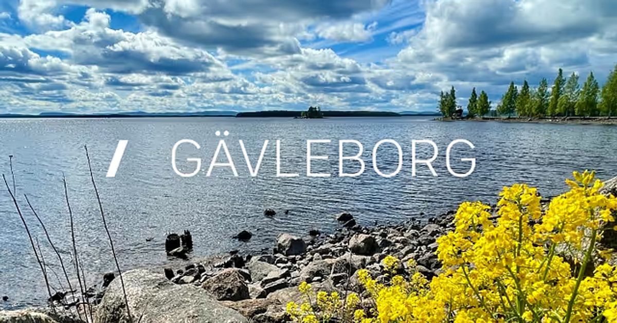 Nyheter från dagen: 20 augusti | SVT Nyheter