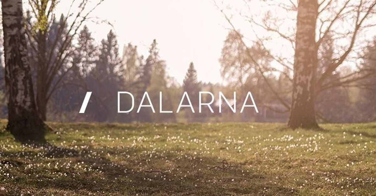 Nyheter från dagen: 1 december | SVT Nyheter