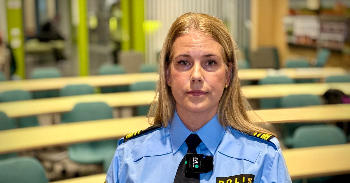 Förskolebarn utsatta för sexövergrepp – USA larmade redan 2023 | SVT Nyheter