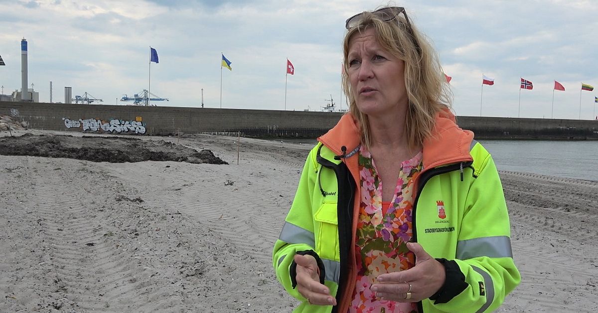 Tropical beach i Helsingborg försvann i stormen Pia – får inte ...
