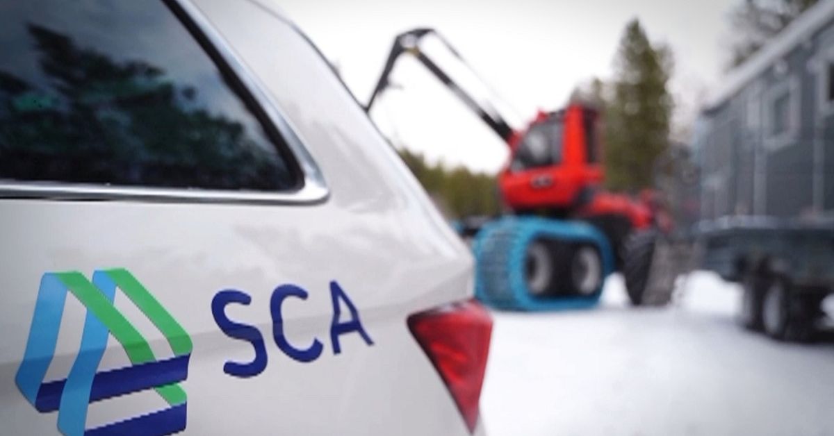 Detta har hänt i konflikten mellan SCA och Greenpeace i Strömsunds kommun | SVT Nyheter